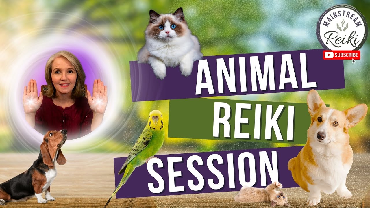 Pet Reiki