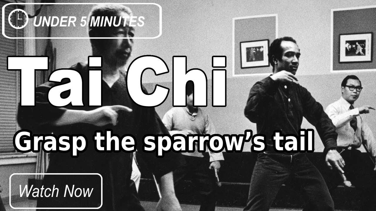 Cheng Man Ching 37 Short Form Movement #2 Grasp the sparrow’s tail ...