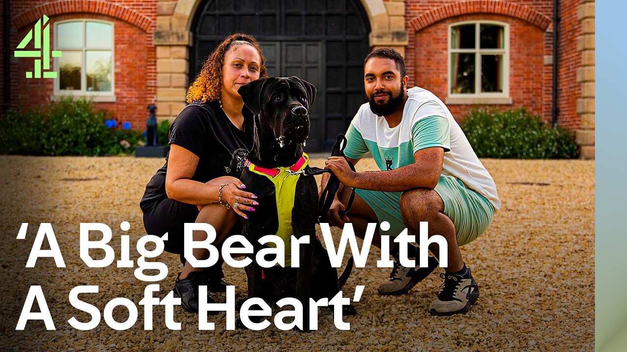 Can Ghost The Cane Corso Mastiff Puppy Be Tamed? | Bad Dog Academy ...