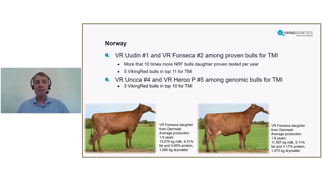 Interbull proofs April 2020 - VikingRed highlights and top bulls - YouTube