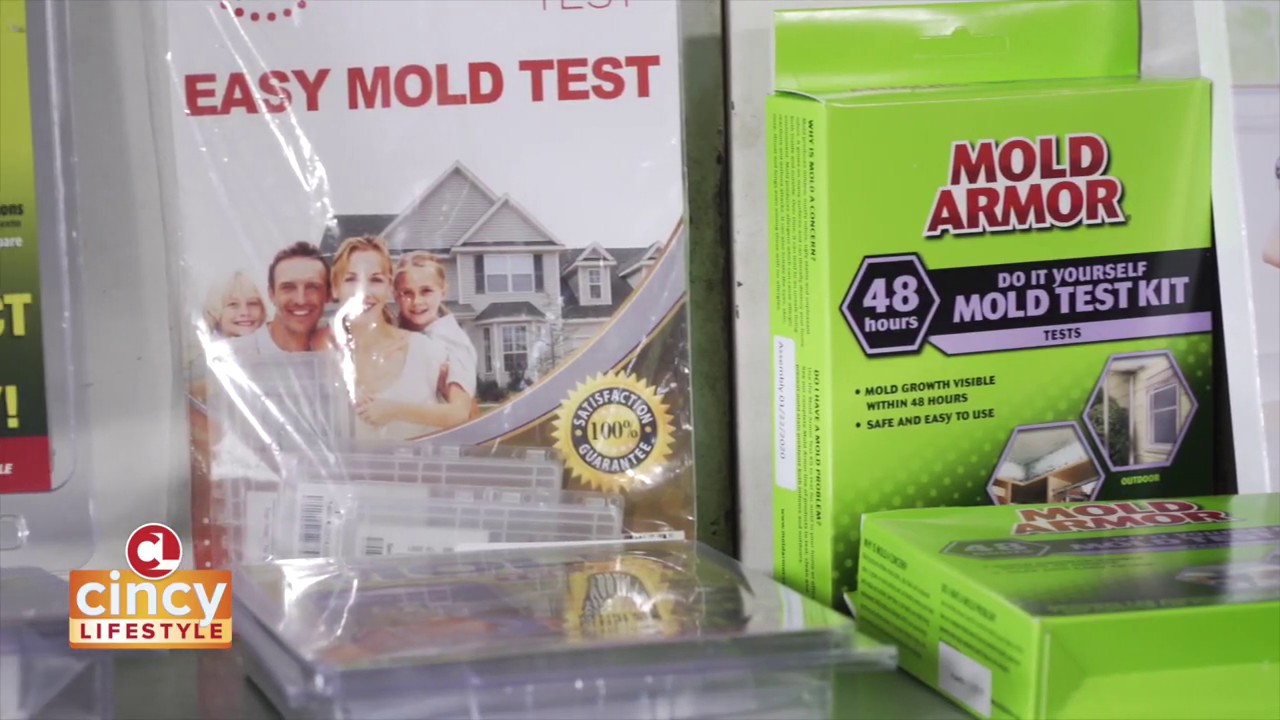 DIY Mold Kits. Do they actually work? – starkidslearn.com