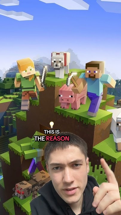 Semantic Versioning explained with Minecraft. #semver #Minecraft # ...