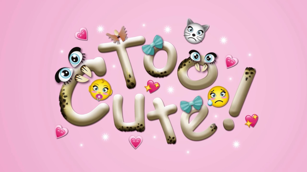 A sneak peek of the Too Cute! exhibition - YouTube