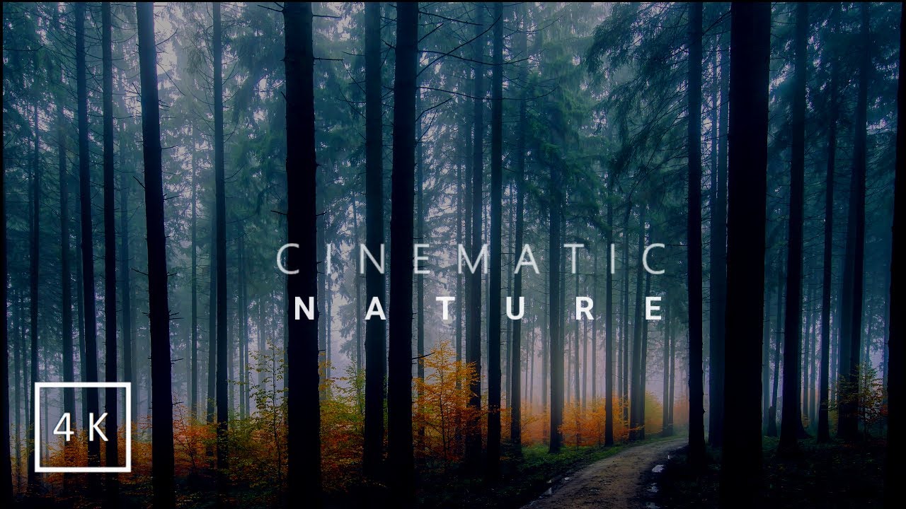 CINEMATIC NATURE-4K - SHOT ON iPhone 5, - YouTube