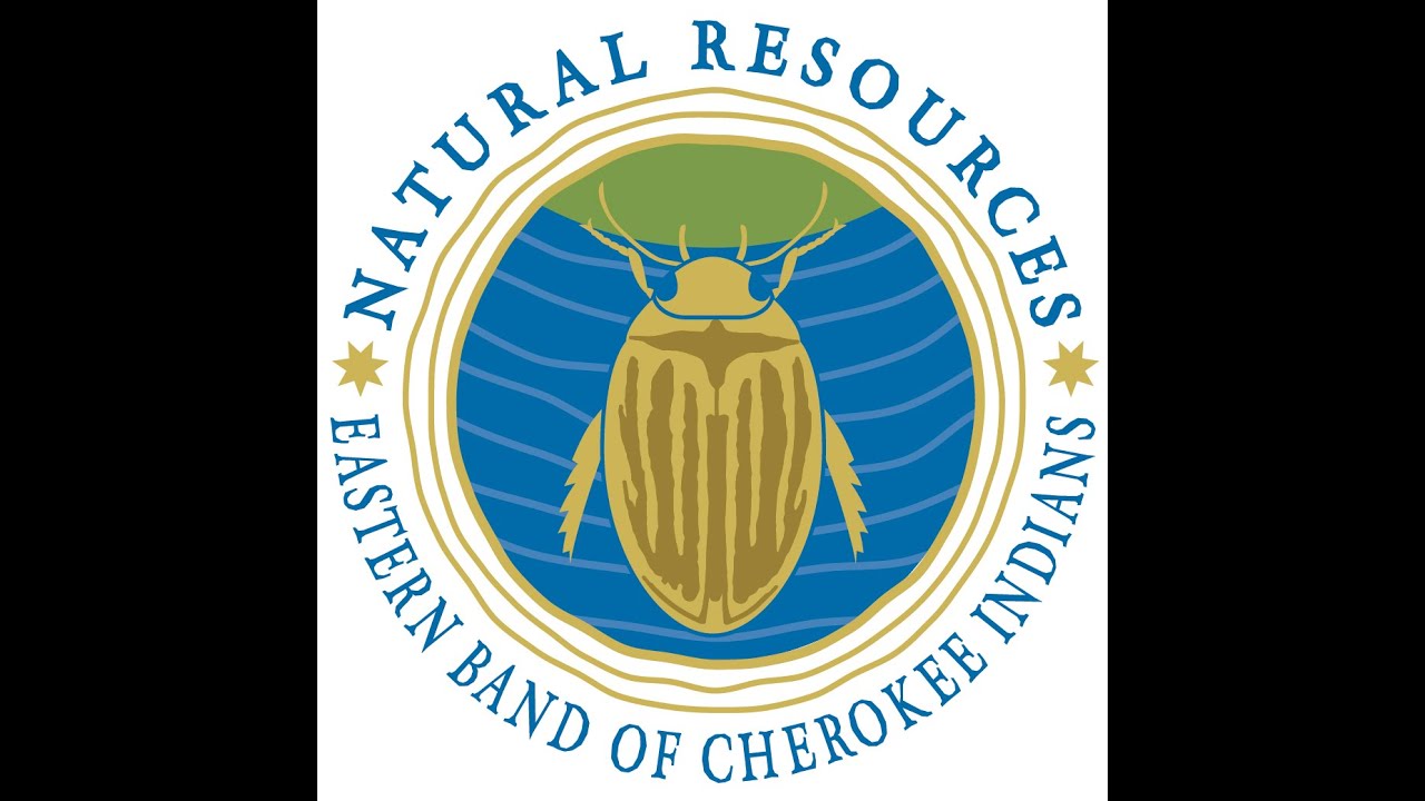 EBCI Natural Resources Department - YouTube