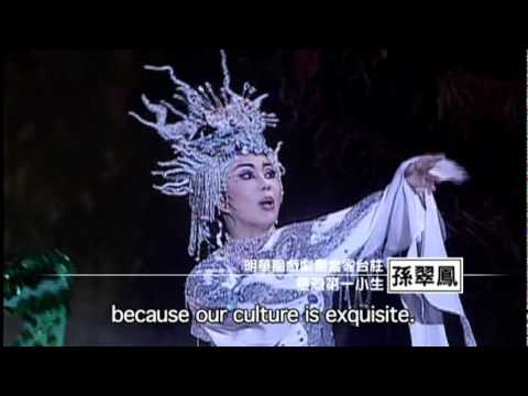 Flexible Diplomacy (Culture) - YouTube