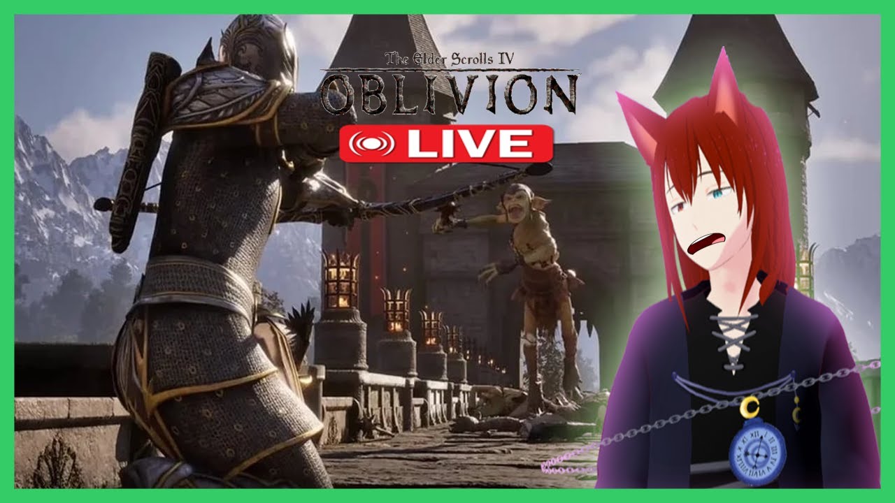 Will FIGHTERS GUILD Survive in Oblivion Remastered? - YouTube