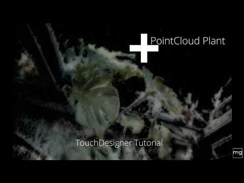 TouchDesigner Tutorial_ Point Cloud Plant - YouTube