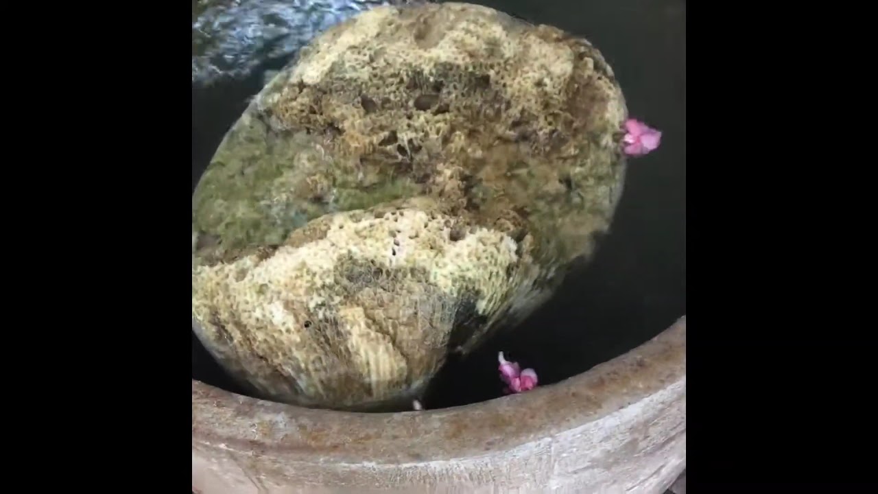 Floating Stone of Rameswaram, Tamil Nadu, India - YouTube