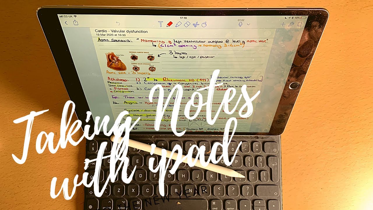 How I take notes on my iPad Pro - Imperial College medical student ...