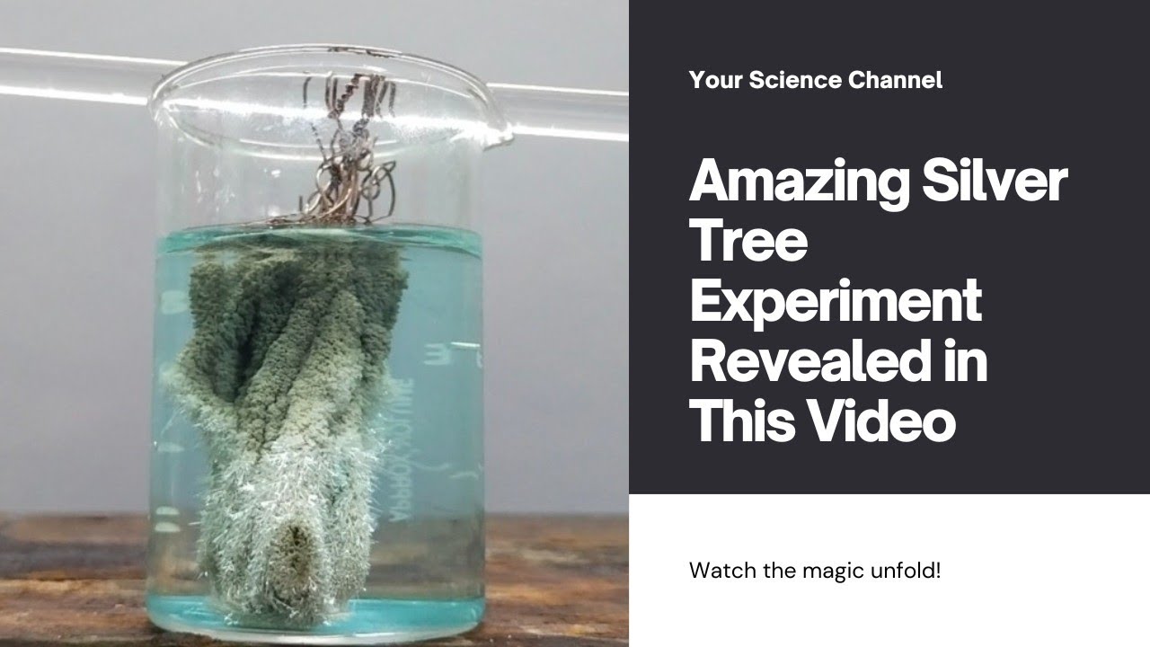 SILVER TREE // REACTION OF SILVER NITRATE WITH COPPER WIRE // SILVER ...