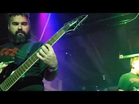 Flesh Hoarder - Hogtied and Deep Fried (live)