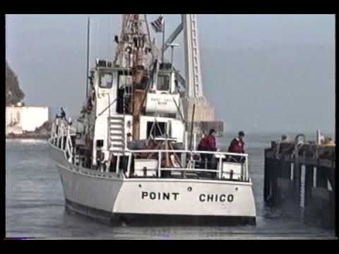 USCG Point Chico mooring Group SF - 1991 - YouTube