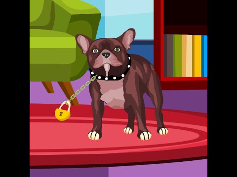 dexter dog escape walkthrough - YouTube