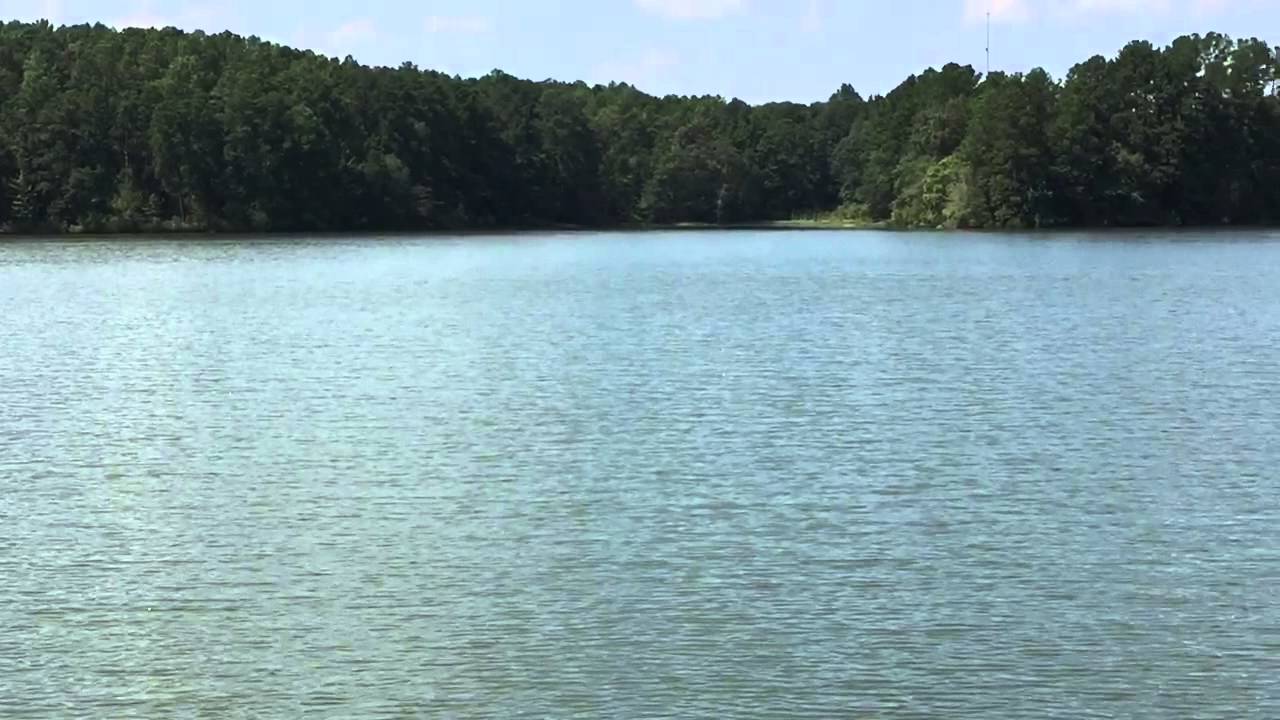 Simpson County Lake, Mississippi - YouTube