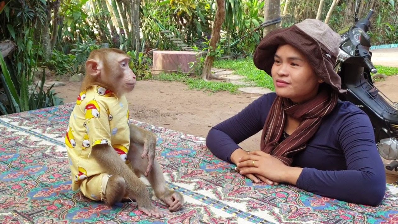 Aww adorable Koko make sad face asking mom ride the motor bike /Koko ...