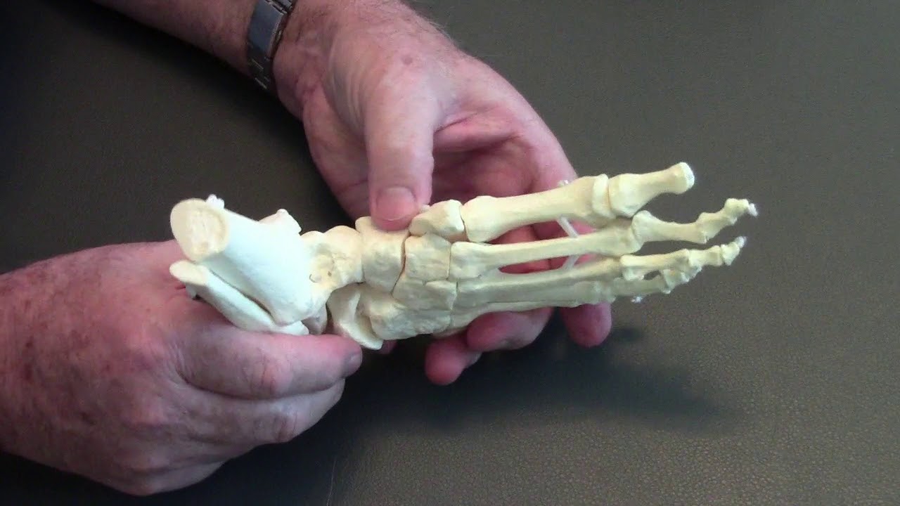 Cuboid Syndrome Cuboid Whip or Cuboid Plunge Treatment - YouTube