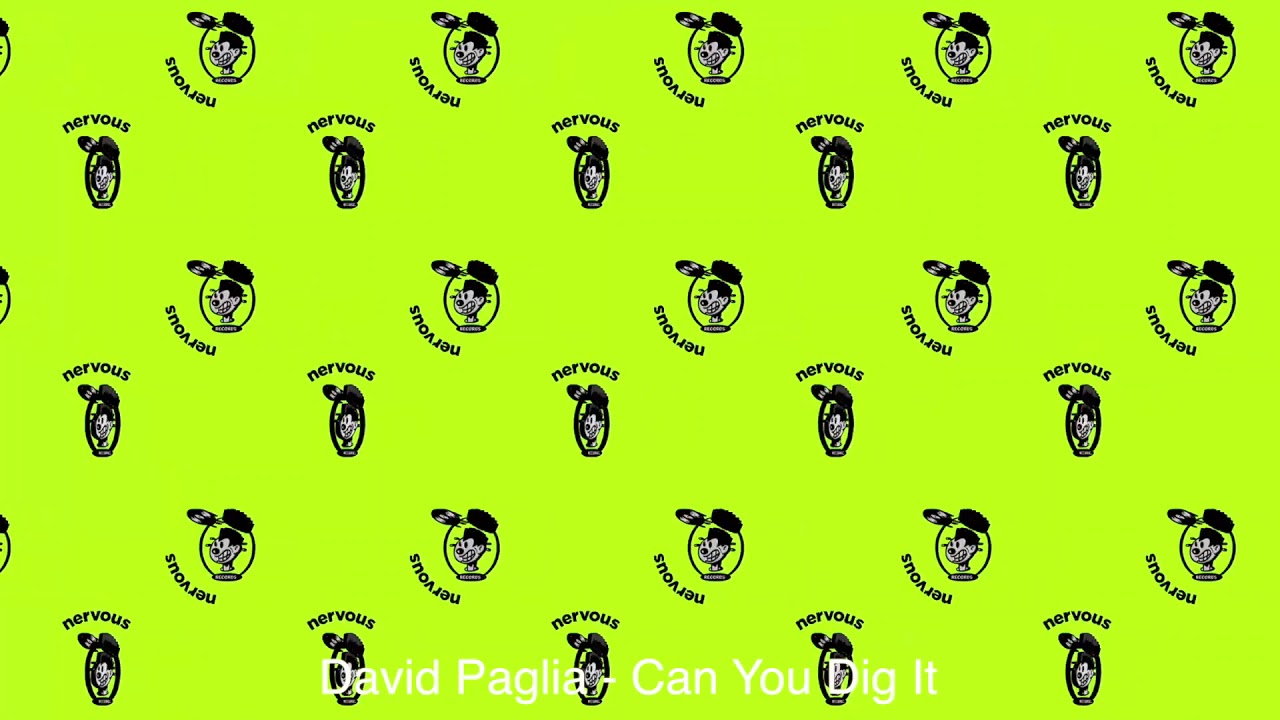 David Paglia - Can You Dig It - YouTube