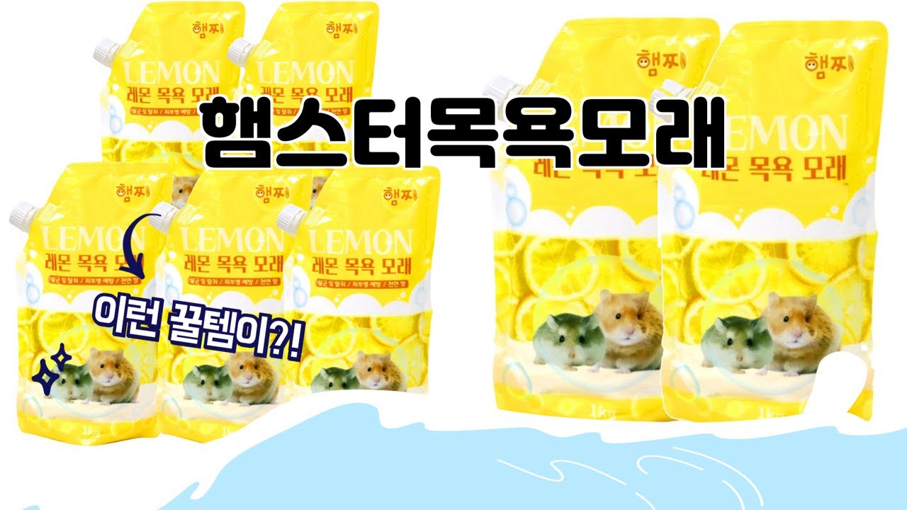 햄스터목욕모래 추천 쇼핑 천국 오늘의 핫딜 놓치지 마세요 쇼핑 필수템 품질 보증 후기 Youtube