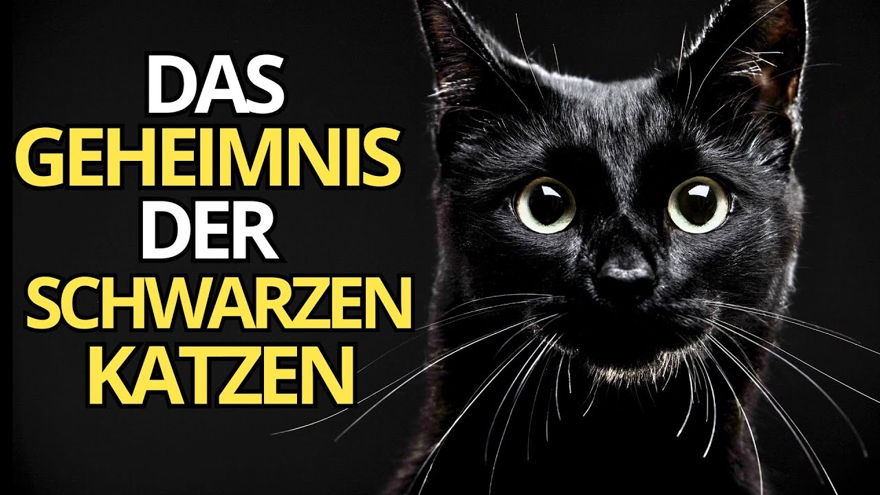 Die Insel Der Schwarzen Katzen