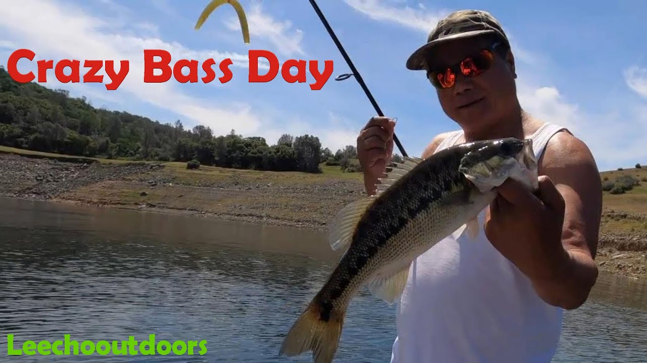 Crazy Bass Day! - YouTube