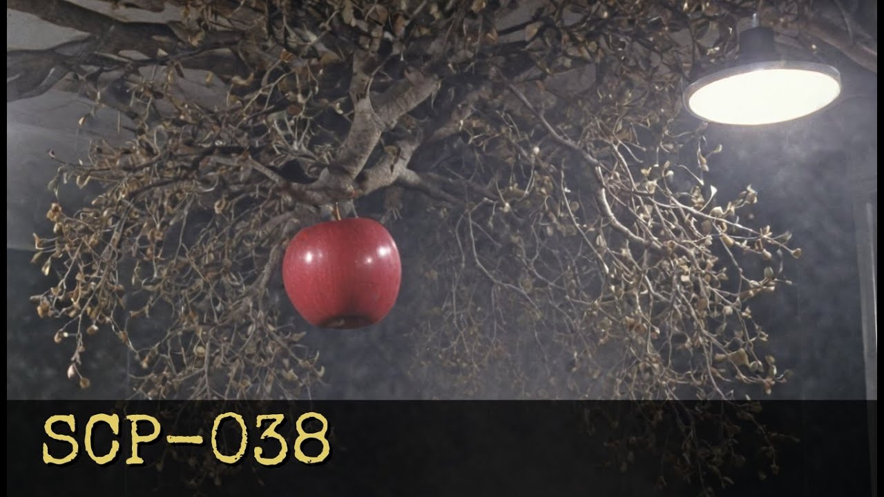 SCP-038 The Everything Tree - YouTube