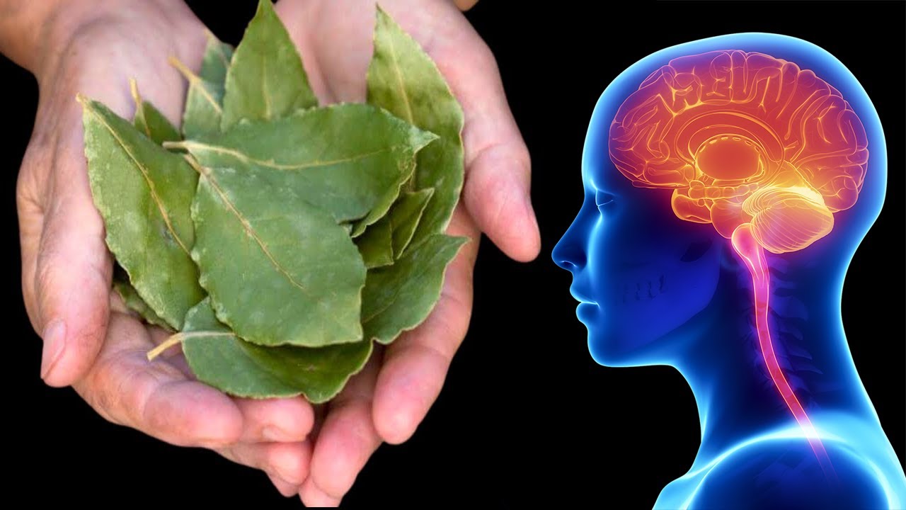 Gjethja "magjike" që të gjithë e kemi në shtëpi, shëron mbi 10 sëmundje ...