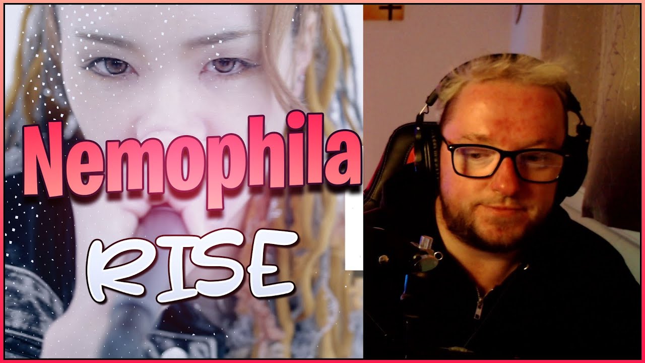 Nemophila - RISE Reaction ( ネモフィラ ) - YouTube