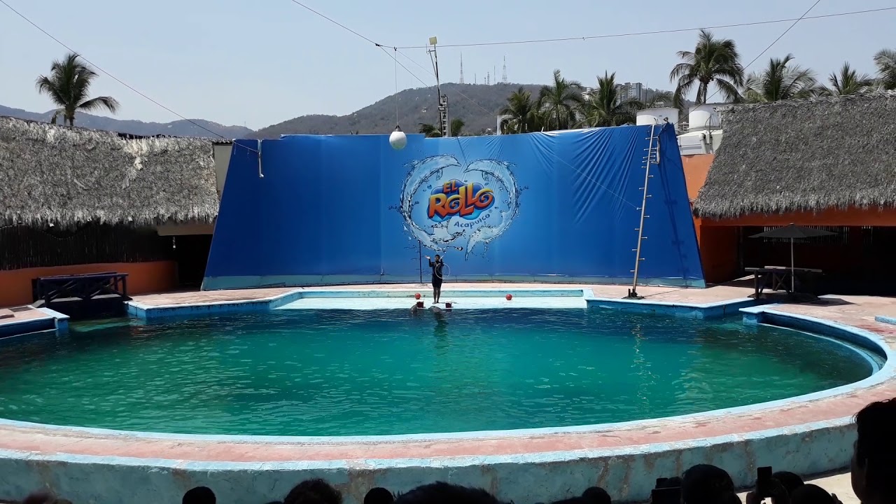 El rollo Acapulco - YouTube