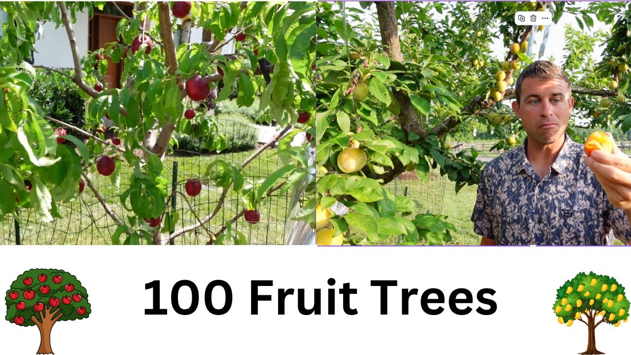 Every Fruit Tree Holding Fruit - YouTube