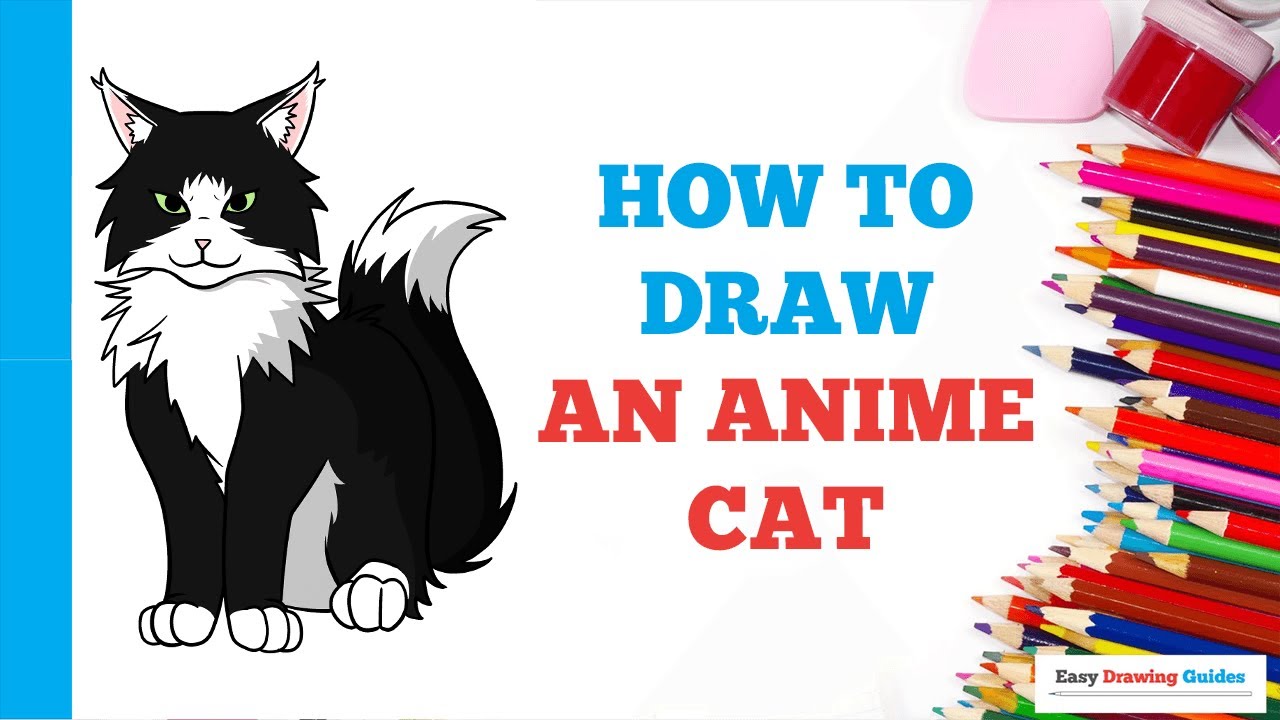 Anime Cat Drawing