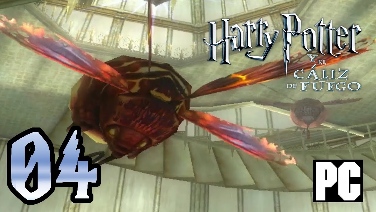 Estas avispas han de ser mortífagos | Harry Potter y el cáliz de fuego ...