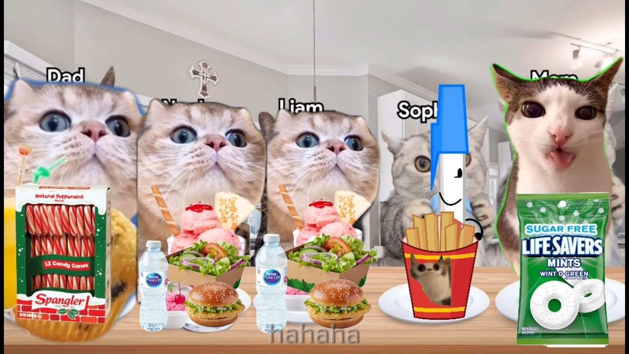 Cat Memes Road trip To AMC Cinemas - YouTube