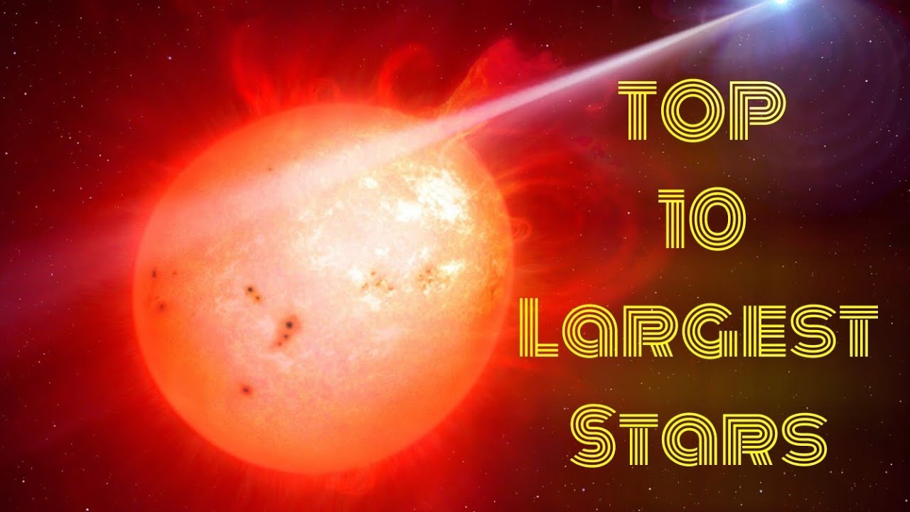 Top 10 Largest Stars In The Universe Size Comparison Of Stars top-10-largest-stars-in-the-universe-size-comparison-of-stars