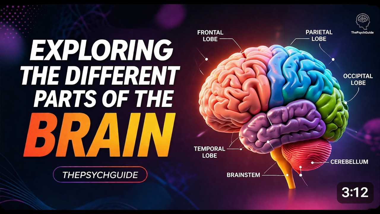 “Parts of the Brain Explained Simply | Psychology Made Easy for Students | The Psych Guide ...