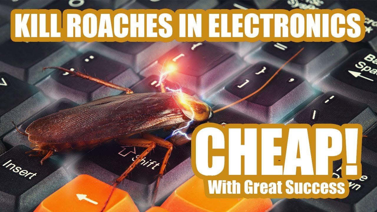 How To Kill Roaches In Electronics Youtube
