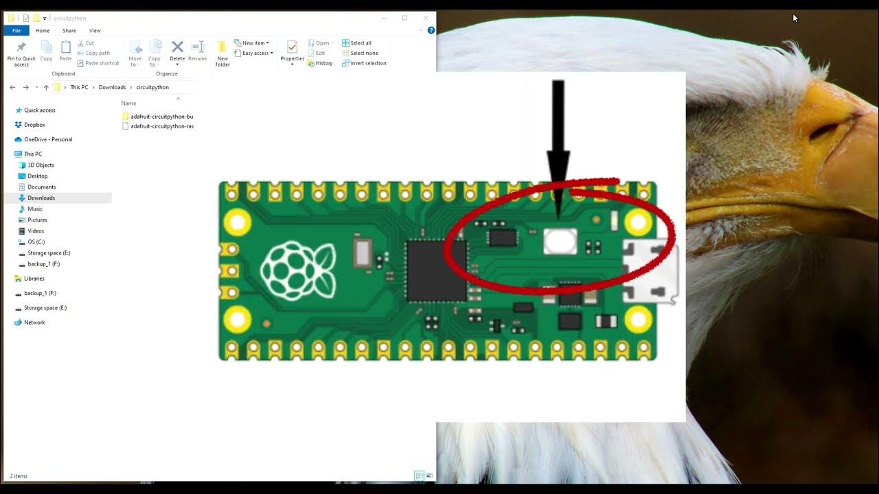 Raspberry Pi Pico: CircuitPython Disappears AND Blink Code Doesn't Run ...