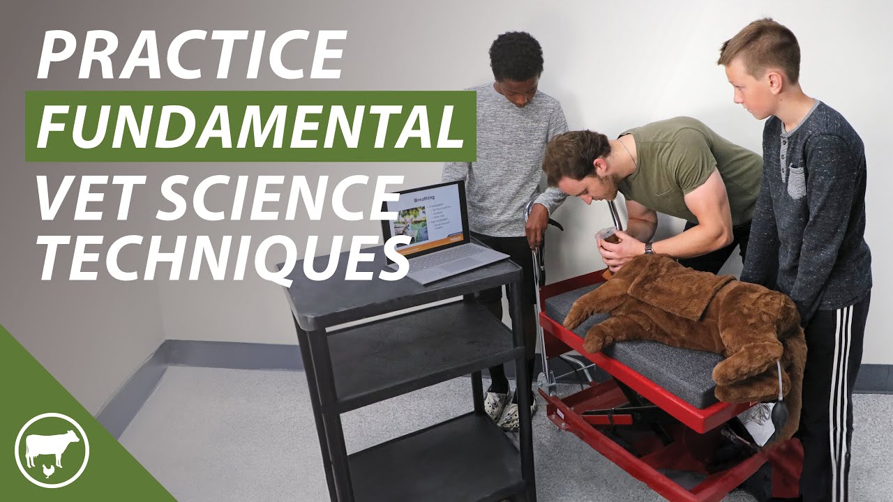 Tools for Teaching Vet Science Foundational Skills - YouTube