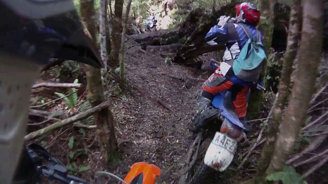 Rutty, boggy quad track KTM 300, WR450F, WR250R - New Zealand Trail ...