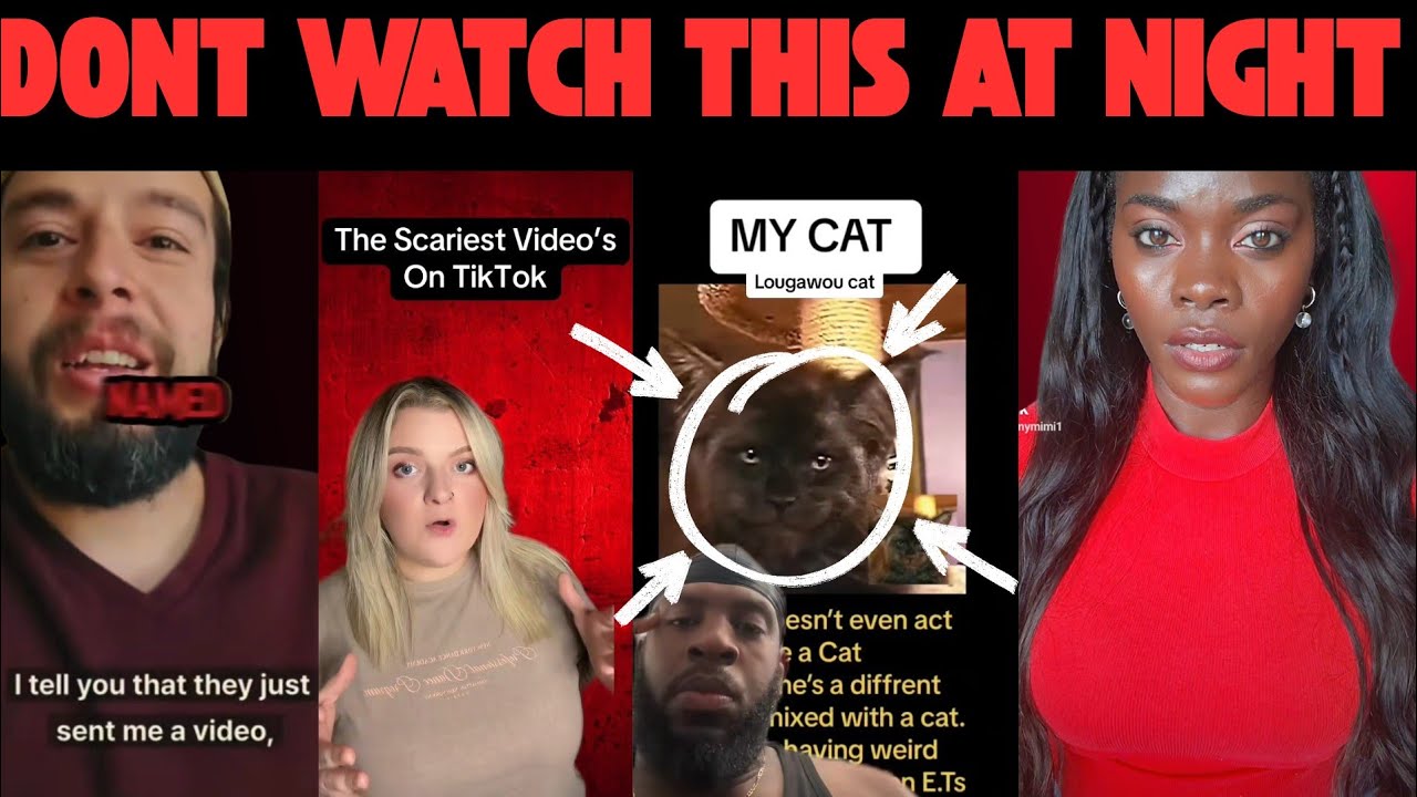 EXTREME BIZARRE VIDEOS FOUND ONLINE — Skinwalkers, Lougarou Cats ...