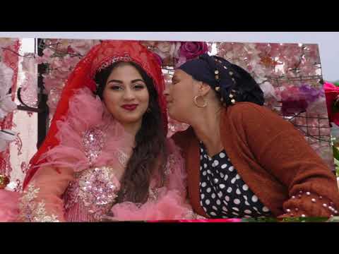 LOGODNA BABADAG SI NAVODARI IBO & BAHARA