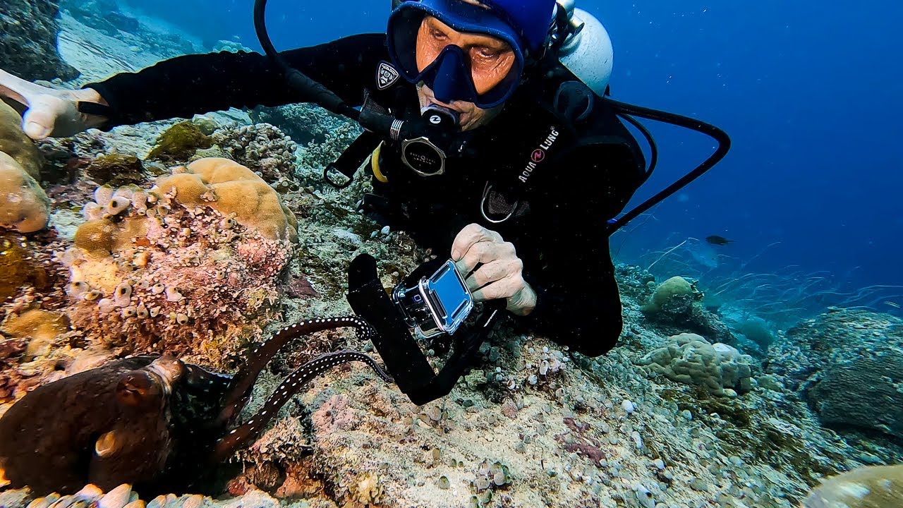 SCUBA Diving With an Octopus! And... GOOD BYE FOR NOW // EP45 - YouTube
