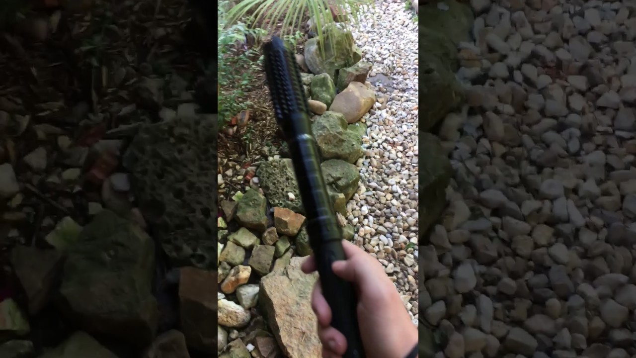 Tazing a stink bug with a 20,000,000 V taser (link in the description ...