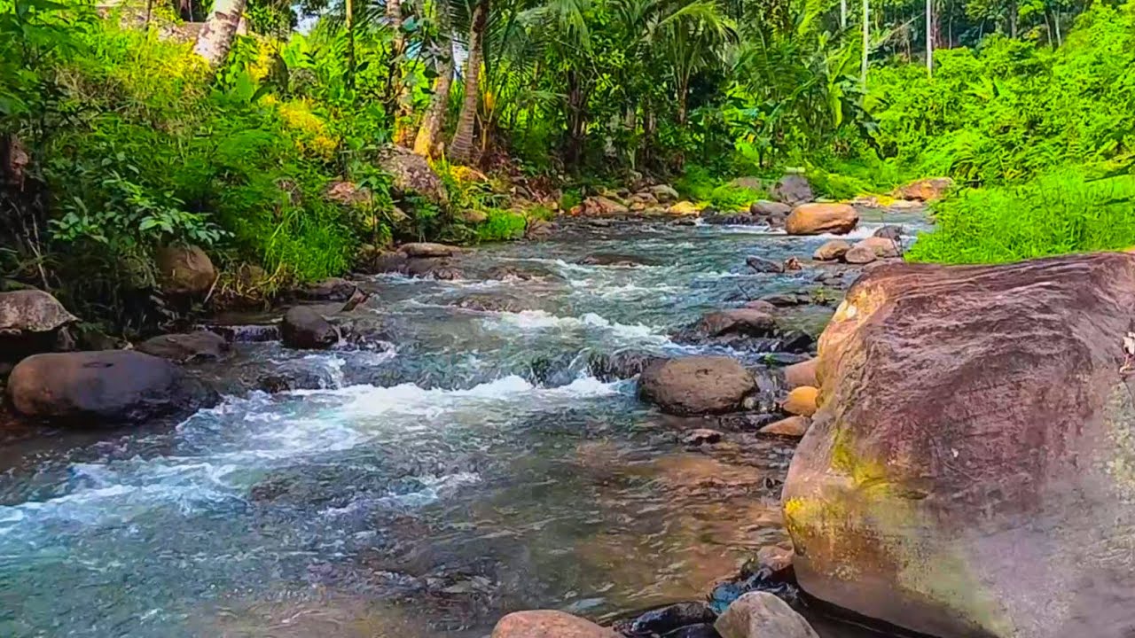 Mighty River Current Rushing Through Tropical Jungle with Powerful ...
