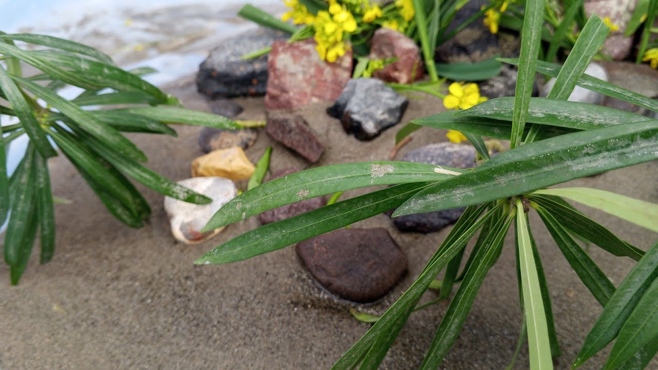 A beautiful tiny hand made island - YouTube