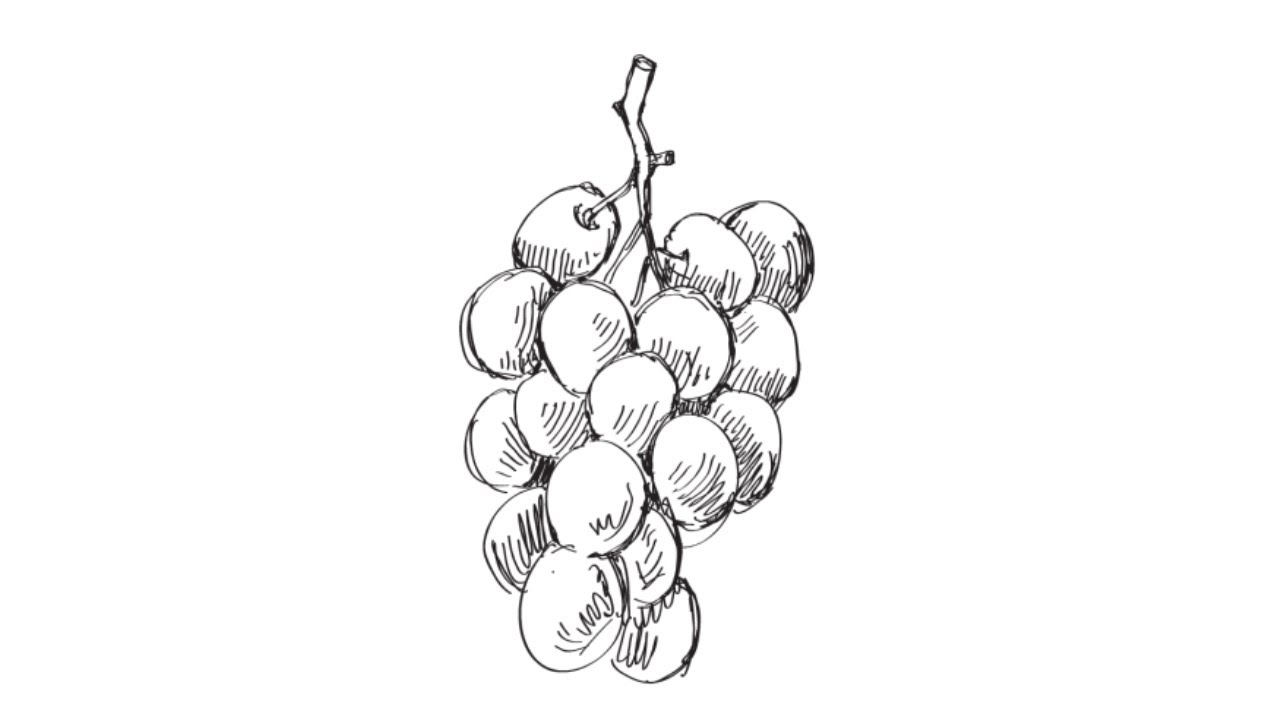 How to Draw a Bunch of Grapes | Sketch Drawing of Grapes - YouTube
