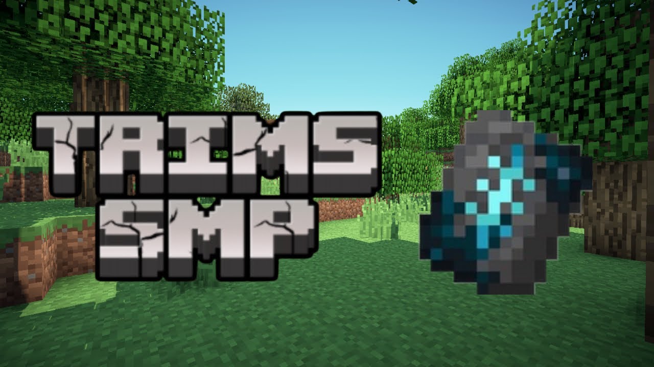 Trims SMP (application open) - YouTube
