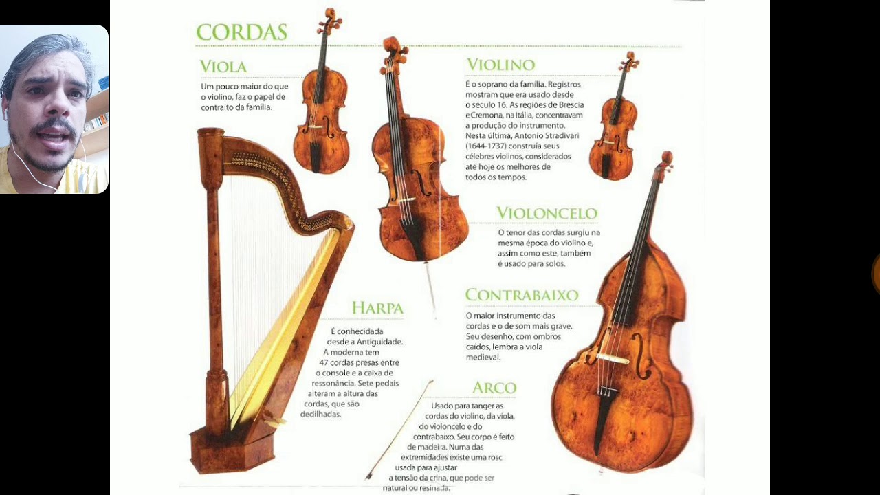 Instrumentos Musicais de Orquestra - YouTube