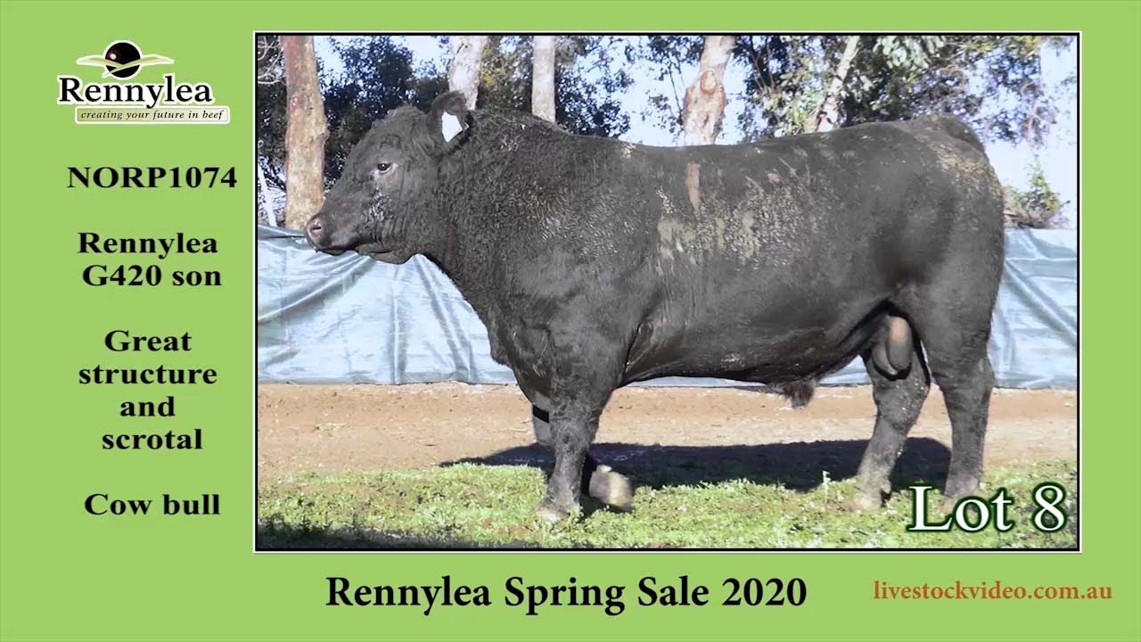 Lot 8 Rennylea Spring 2020 - YouTube
