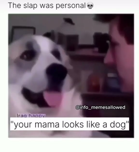 LMFAOOO #memes - YouTube